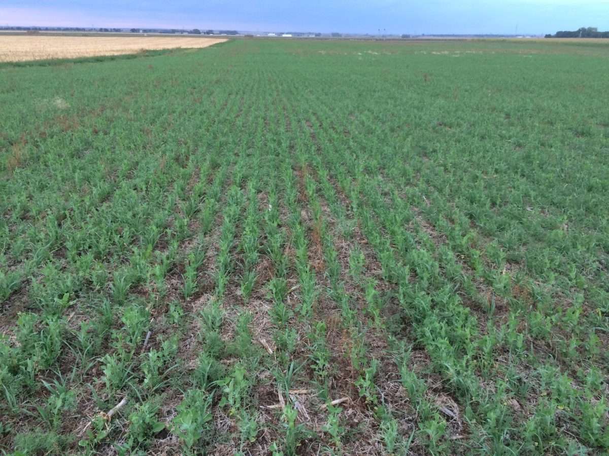 Soil Health Principles - Northern Plains Resource Council